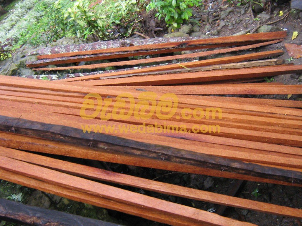 Coconut Wood Price In Sri Lanka Wedabima